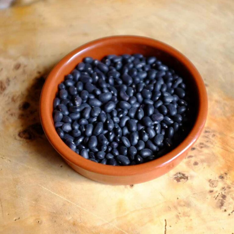 Graines Haricots bio - La Boîte à Graines