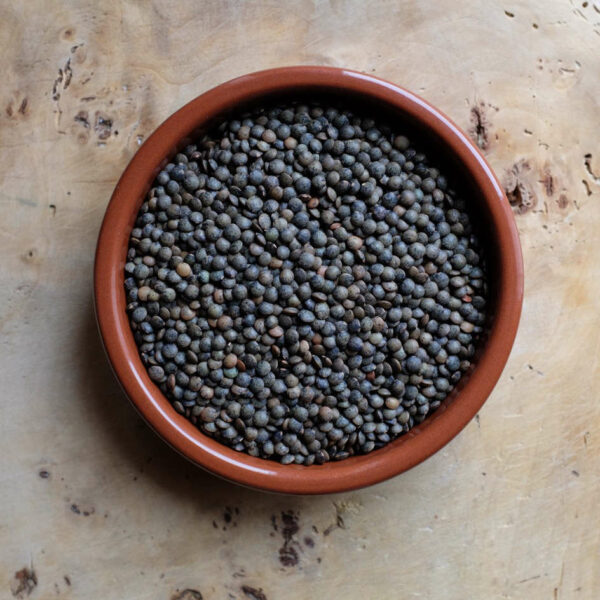 Lentille Anicia Bio - La Boîte à Graines