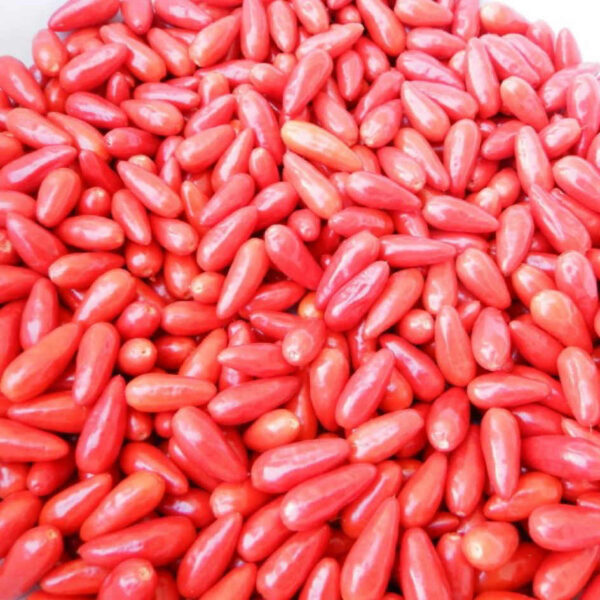 Graines Piments bio - La Boîte à Graines