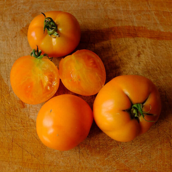 Tomate Orange Queen Bio - La Boîte à Graines