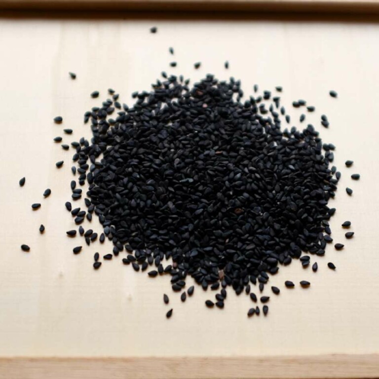 Sésame Noir Bio - La Boîte à Graines